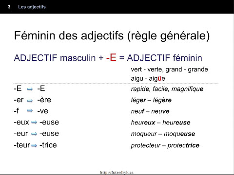 3º- LES ADJECTIFS QUALIFICATIFS | Le Baobab Bleu