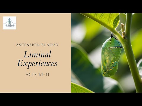 Liminal Experiences – Tawa Baptist