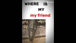 #jurassicworld #jurassicworlddominion #dinosaur #indoraptor #jurassicpark #dino WHERE IS REXY