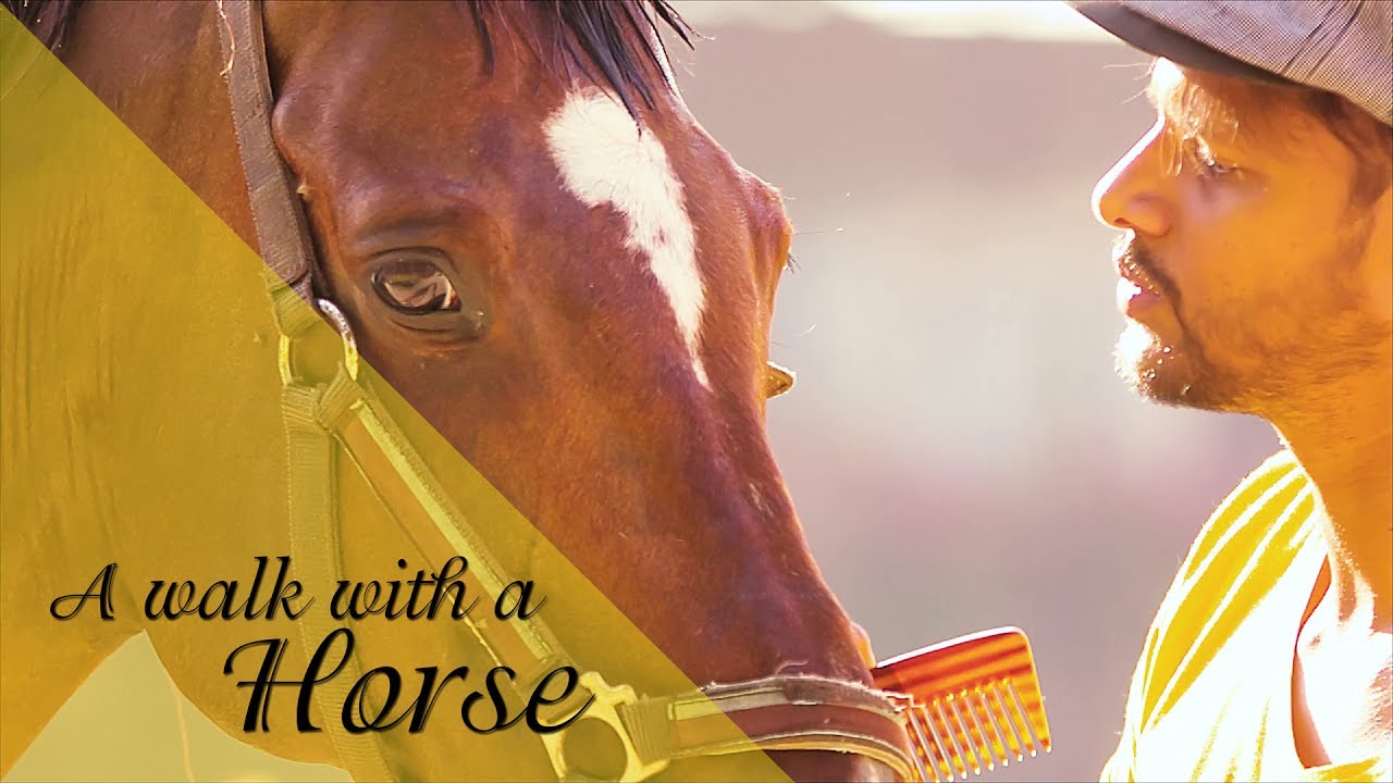 Best video production Company in Hyderabad| Realm Studios