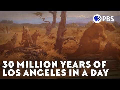 How Plate Tectonics Transformed Los Angeles – Scottie's Playtime