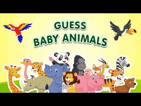 Animals & Baby Animals / Facts, Vocabulary & Pronunciation | brain-perks