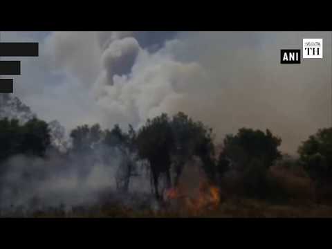 Forest Fires – POINT IAS