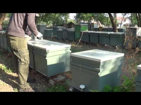 ProVap110 Oxalic Acid Sublimator by sassafrasbeefarm | Beekeeping365