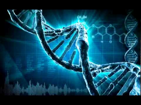 Alien Genetic Manipulation — The Morphogenetic Field | OUT OF THIS WORLDX