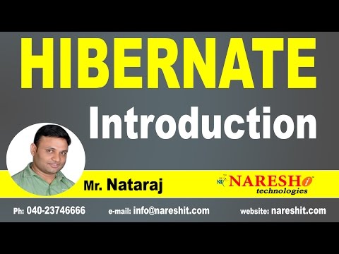 Naresh i Technologies, Hyderabad: Core Java, Spring, Selenium, AWS, SQL Server, Python, React JS ...