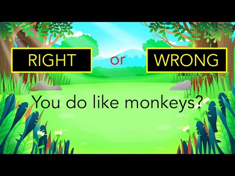 Present Simple Question YouTube Writing worksheet – ELTWeekly