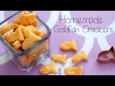 Make A Baby Face Genetics Activity Using Goldfish Crackers - executivesokol