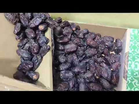 Fresh Dates - Wholesale Price & Mandi Rate for Raw Dates