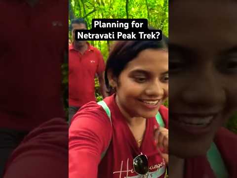 Guide is mandatory for Netravati Peak Trek ? #kudremukh #netravathi #trekking