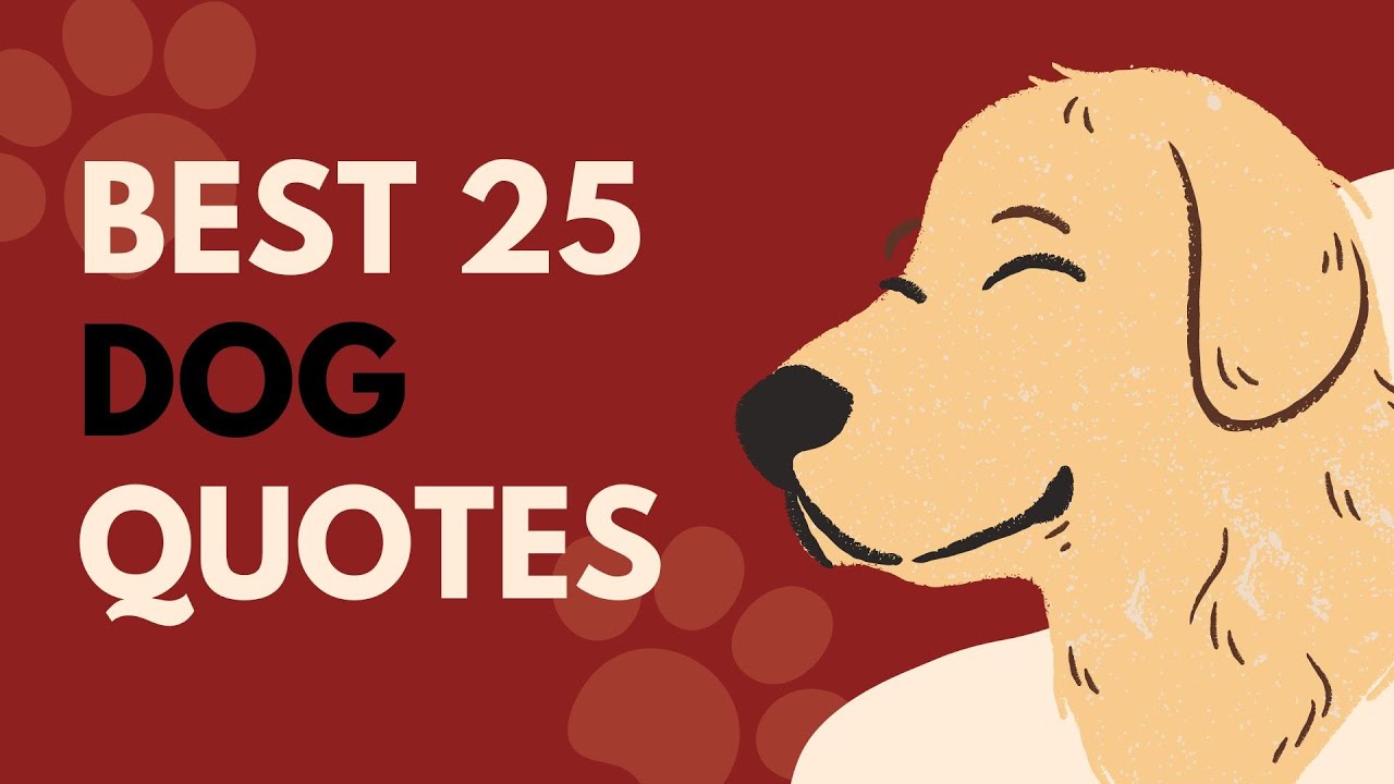 Best 25 Dog Quotes For People Who Love Dogs | Inspirational Daily-Quotes