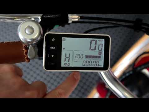 Dyson Bikes Tilba Electric Bike Display overview and operation instructions.