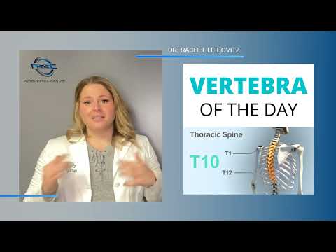 Vertebra of the Day T10