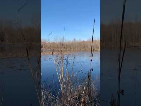 Illinois hunting lease now available on HLRBO!