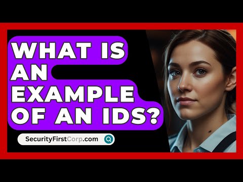 What Is An Example Of An IDS? - SecurityFirstCorp.com
