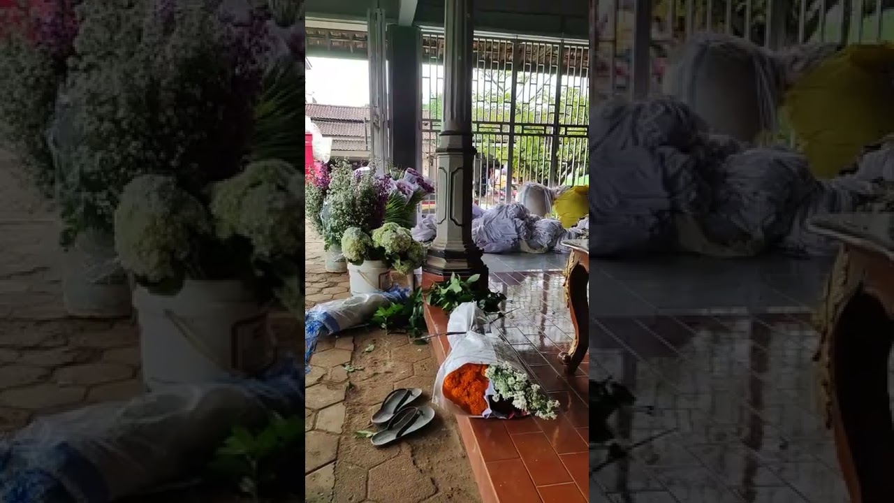 bunga segar #shorts #youtubeshorts