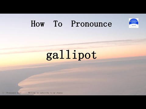 pronounce word. how to pronounce gallipot in english (correct!).