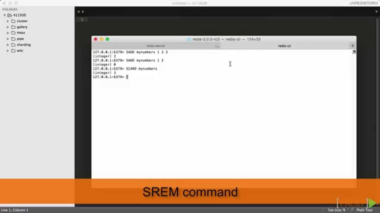 Building Databases with Redis Tutorial: Tagging Images with Sets | packtpub.com