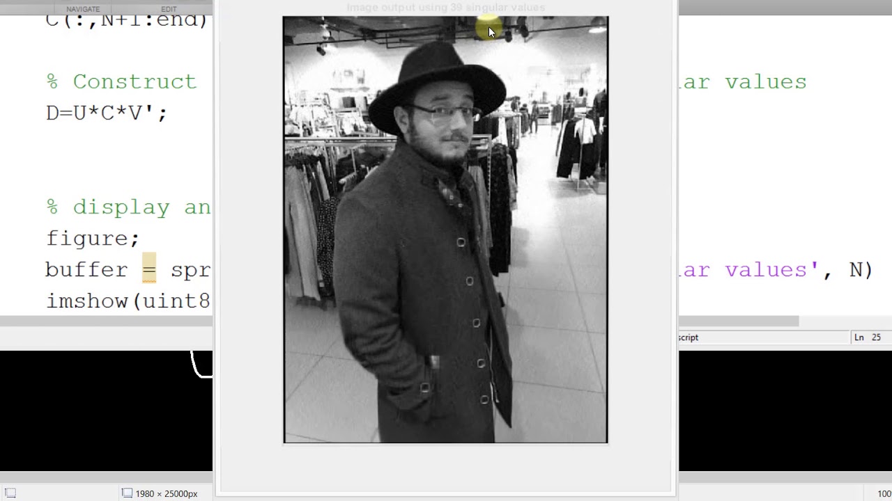 166-[ENG] SVD   matlab example image compression using svd