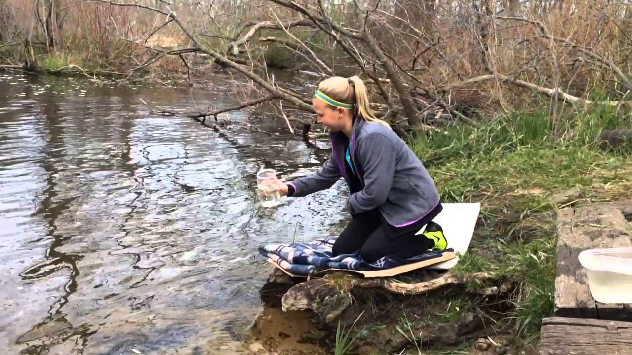 Watch Paw Paw Students Release Salmon Into The Wild
