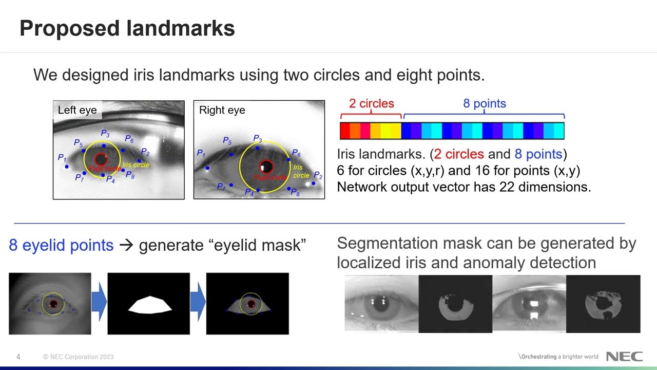 Segmentation-free Direct Iris Localization Networks