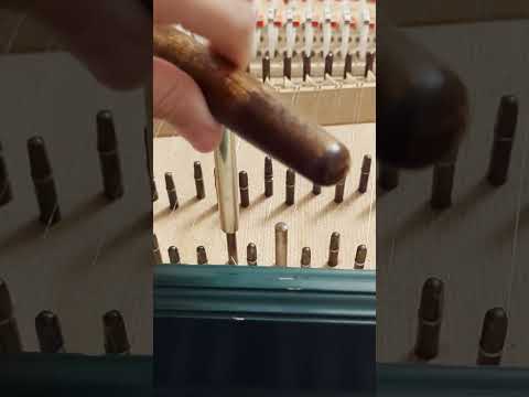 Replacing a string on the harpsichord #harpsichord #keyboard #musianslife #catarinamuziek