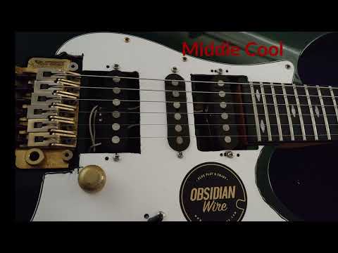 Fernandes L-5002T 1990s Black FST-70 Jeff Beck Tapped single | Reverb