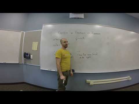 Identities, Equations, Expressions