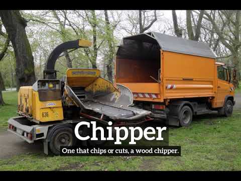 How Does Chipper Look? | What is Chipper? | How to Say Chipper in English?