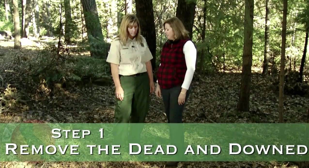 Create Defensible Space around Your Home