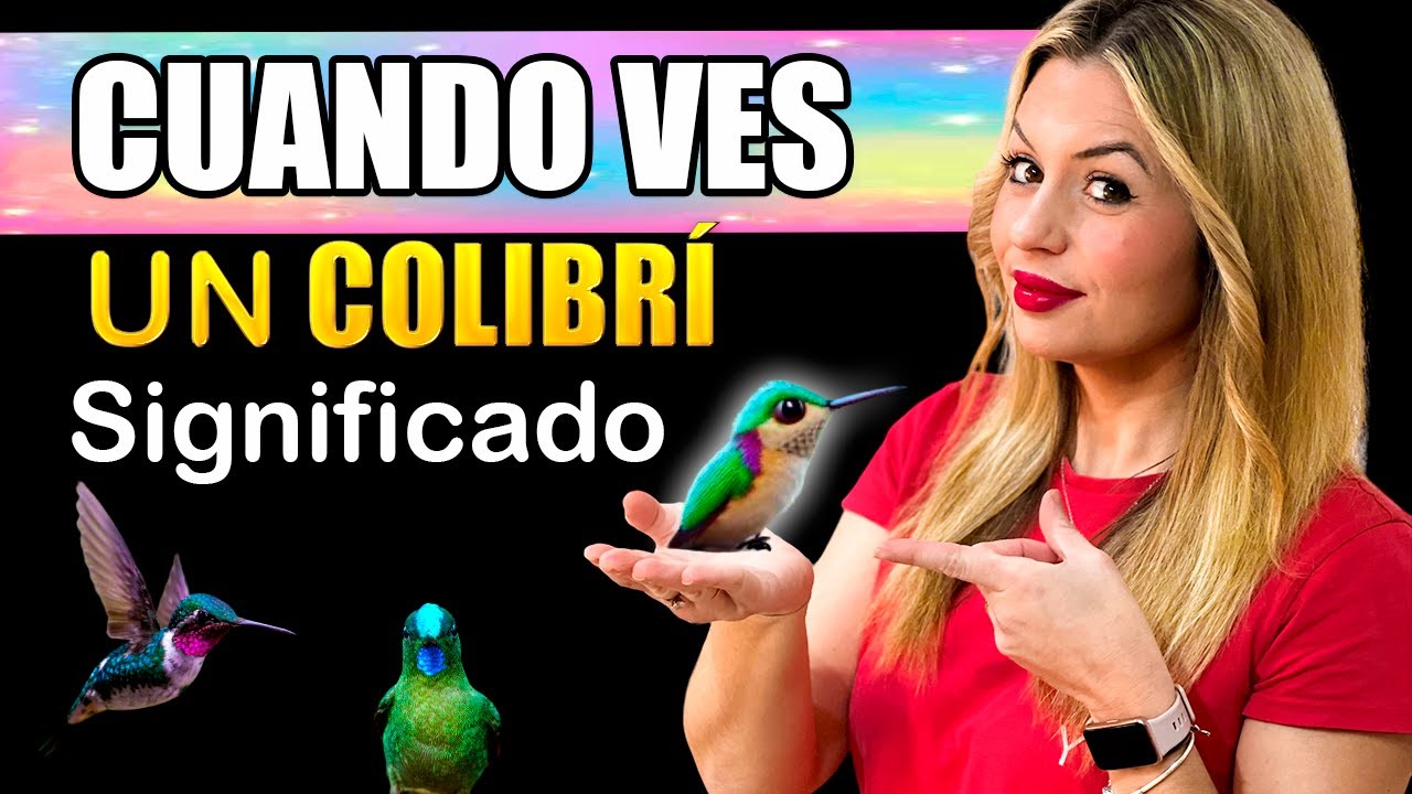 What does it mean when you see a hummingbird? Meaning and symbolism