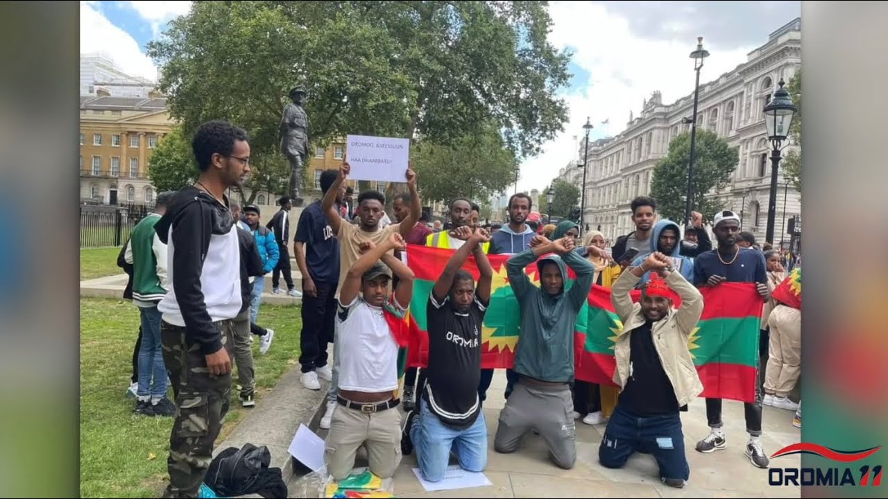 OROMIA11: ODUU 7-19-2023