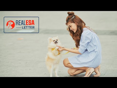 ESA Dog 🐶 Training - Train your pet to become an emotional support animal
