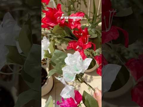 My New Favourites | Things I Bought On Amazon | Where To Buy Artificial Flowers For Decoration