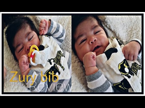 2 in 1 Zury Bib Review