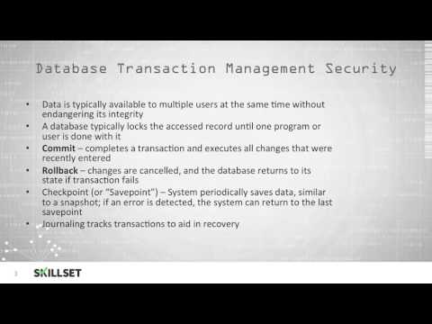 Transaction Management (CISSP Free by Skillset.com)