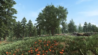 4K - Skyrim SE 2023 Ultra modded with Community Shaders with ...