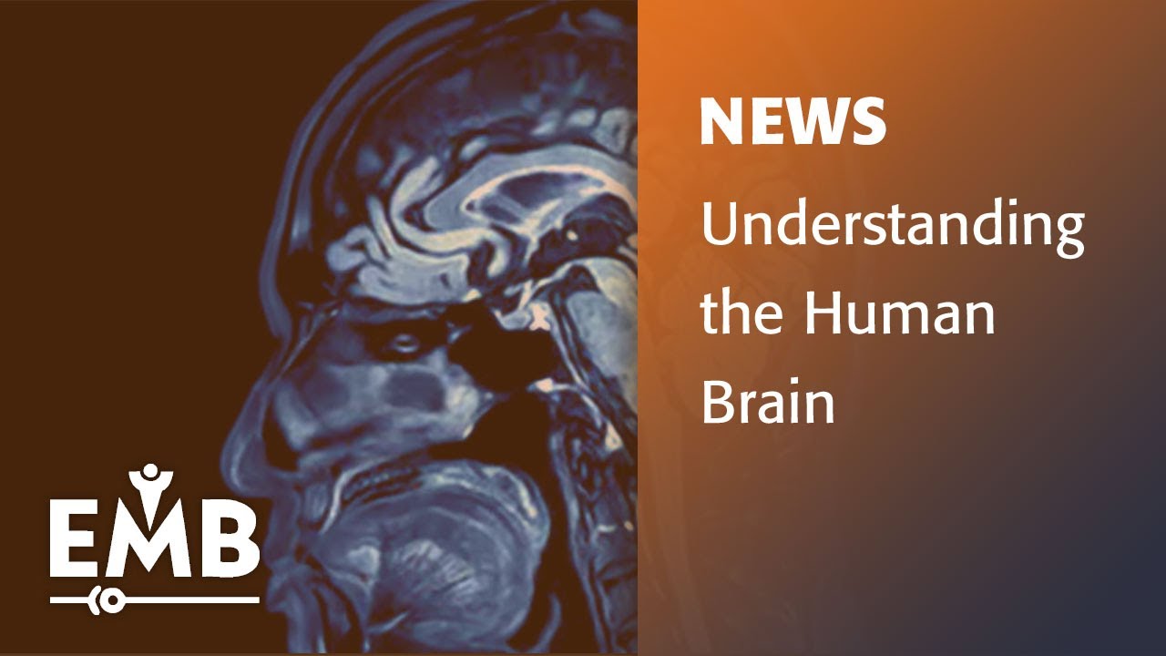 IEEE Brain Initiative