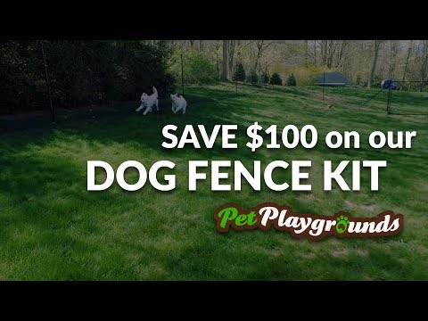 Dog Fence Kits for escape artist dogs