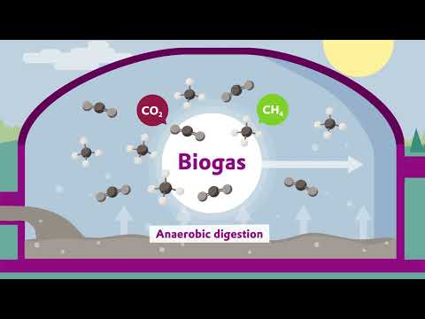 Upgrading of biogas to high-purity Bio-CO2 with SEPURAN® Green membranes | Evonik