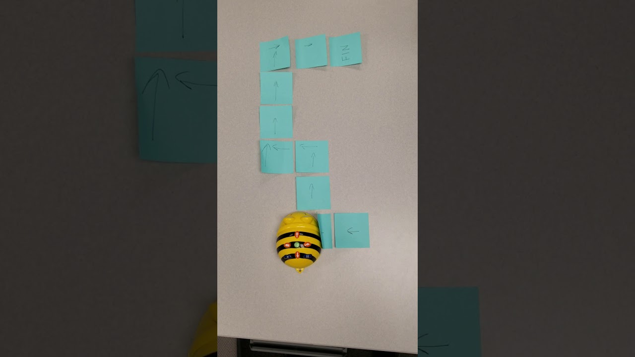 Coding - Bee Bot #2