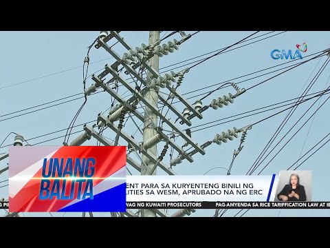 Staggered payment para sa kuryenteng binili ng distribution utilites sa WESM,... | Unang Balita