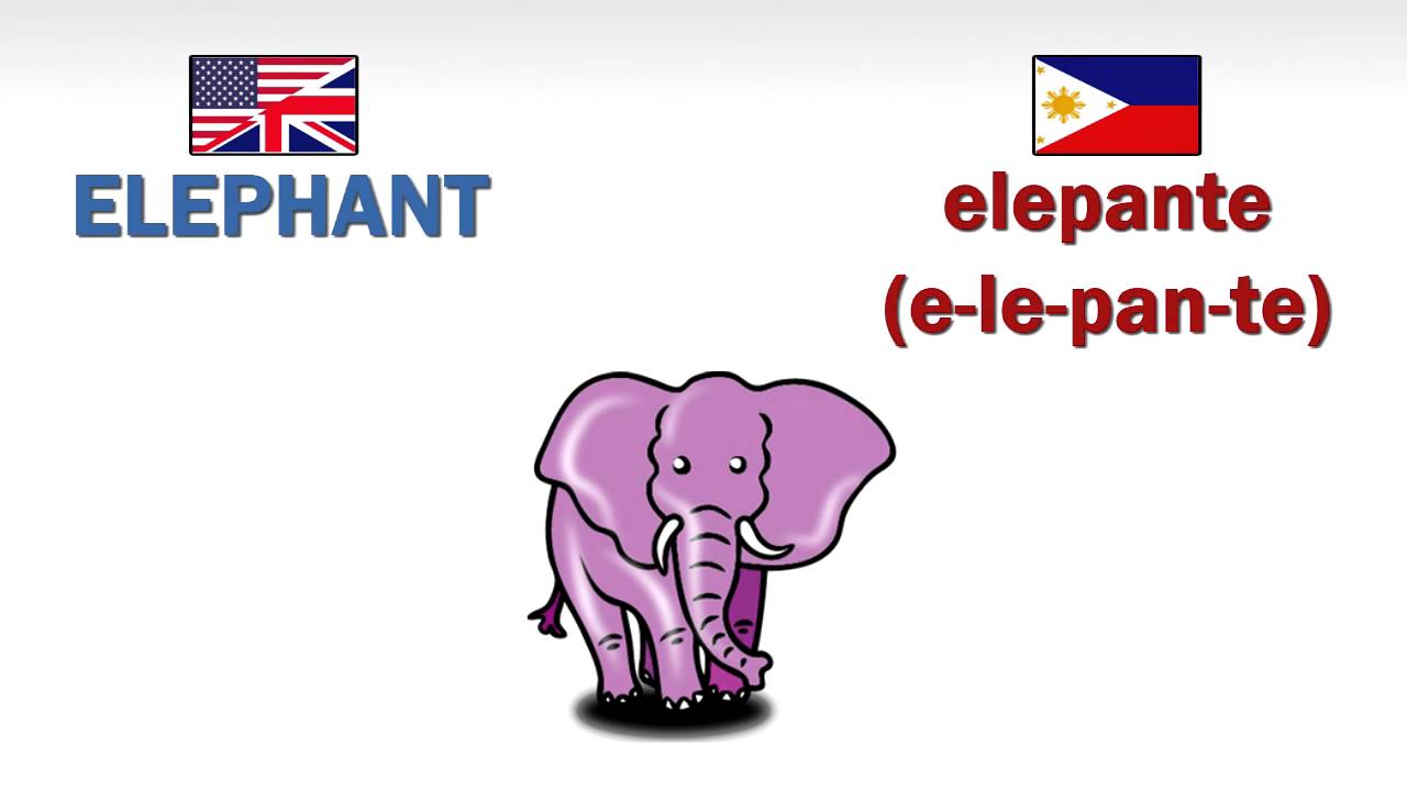 Learn Basic Cebuano words and phrases - SF Pinoy