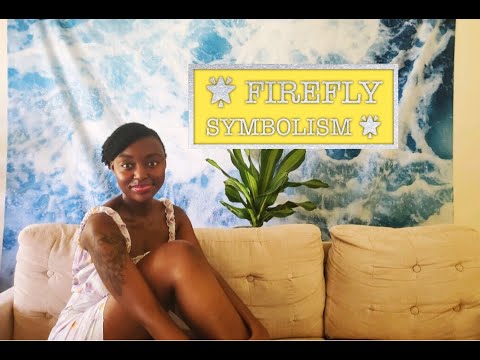Firefly Spirit Animal Totem | Let Your Light Shine