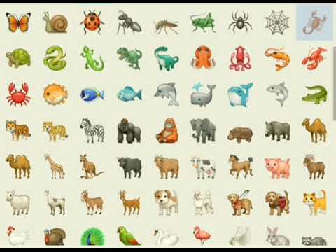 Insect and Animals emojis π¦π¦π¦