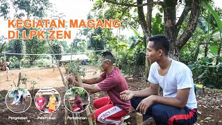 LPK ZEN Indonesia | Magang ke Jepang Kerja ke Jepang