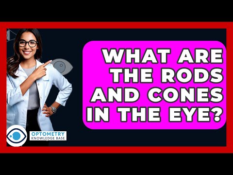What Are The Rods And Cones In The Eye? - Optometry Knowledge Base