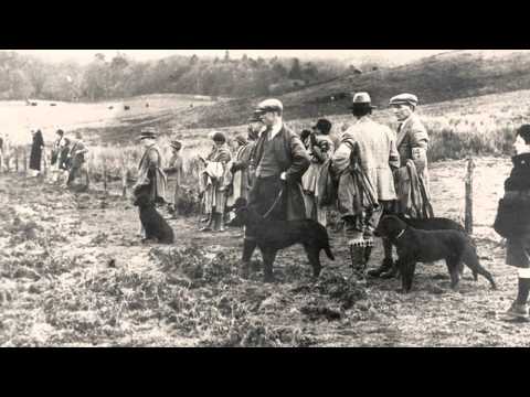 History – Filipino Labrador Retriever Enthusiasts