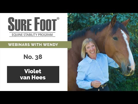 No. 38. Violet van Hees - Polyvagal Theory for horses (part of a series)