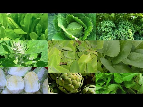 40 keerai vagaigal (Names) in Tamil and English with images/Spinach Names /Types of leafy vegetable